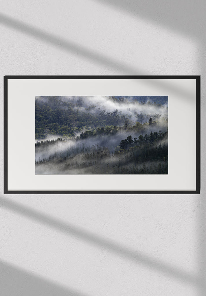 Jason Fisk – Fox Lab Fine Art